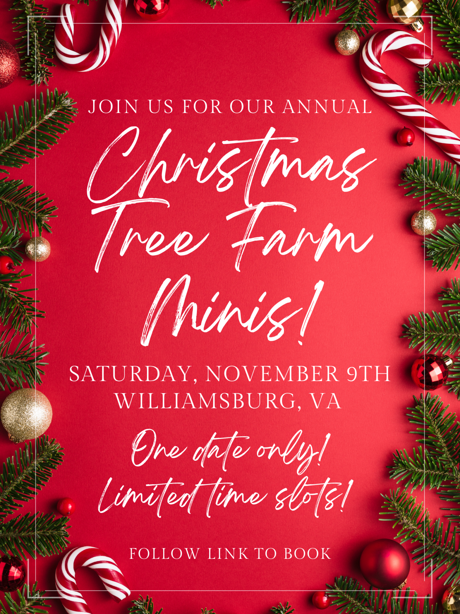 Williamsburg, Virginia Christmas Tree Farm Mini Sessions 2024 ...